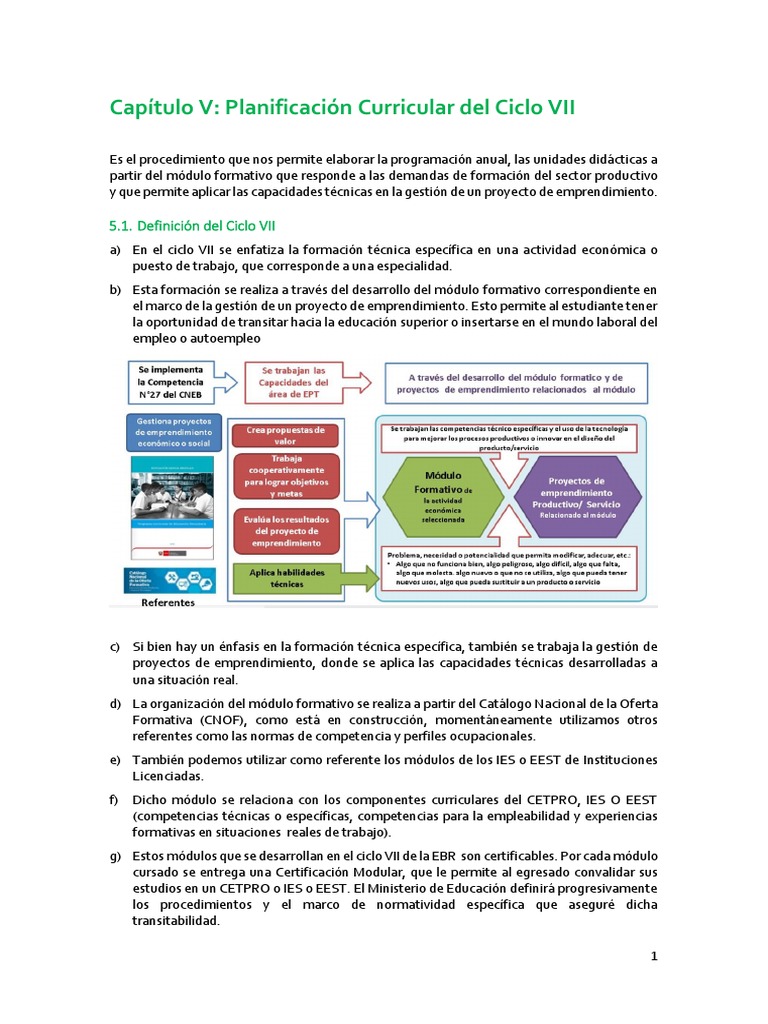 Orientaciones para La Planificacion Ciclo Vii SFT | PDF | Iniciativa ...
