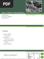 Clay vs. Shale in Petrophysics | PDF | Shale | Clay