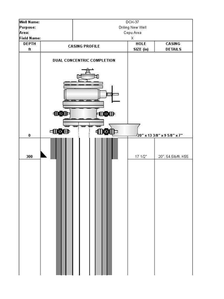 Casing Design | Casing (Borehole) | Earth & Life Sciences | Free 30-day ...