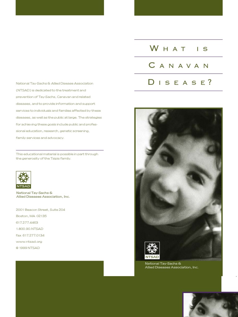 What Is Canavan Brochure | PDF | Genetic Disorder | Clinical Medicine
