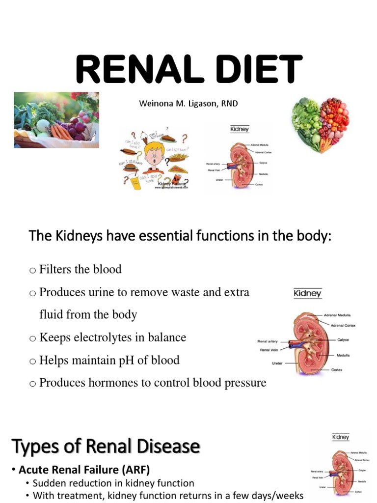 Renal Diet WML Autosaved | PDF | Chronic Kidney Disease | Renal Function