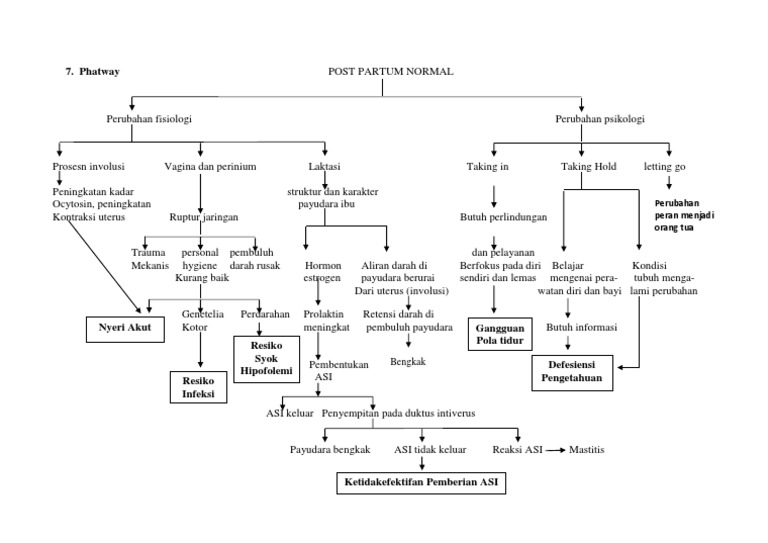 Pathway Post Partum Normal dan Perubahan | PDF