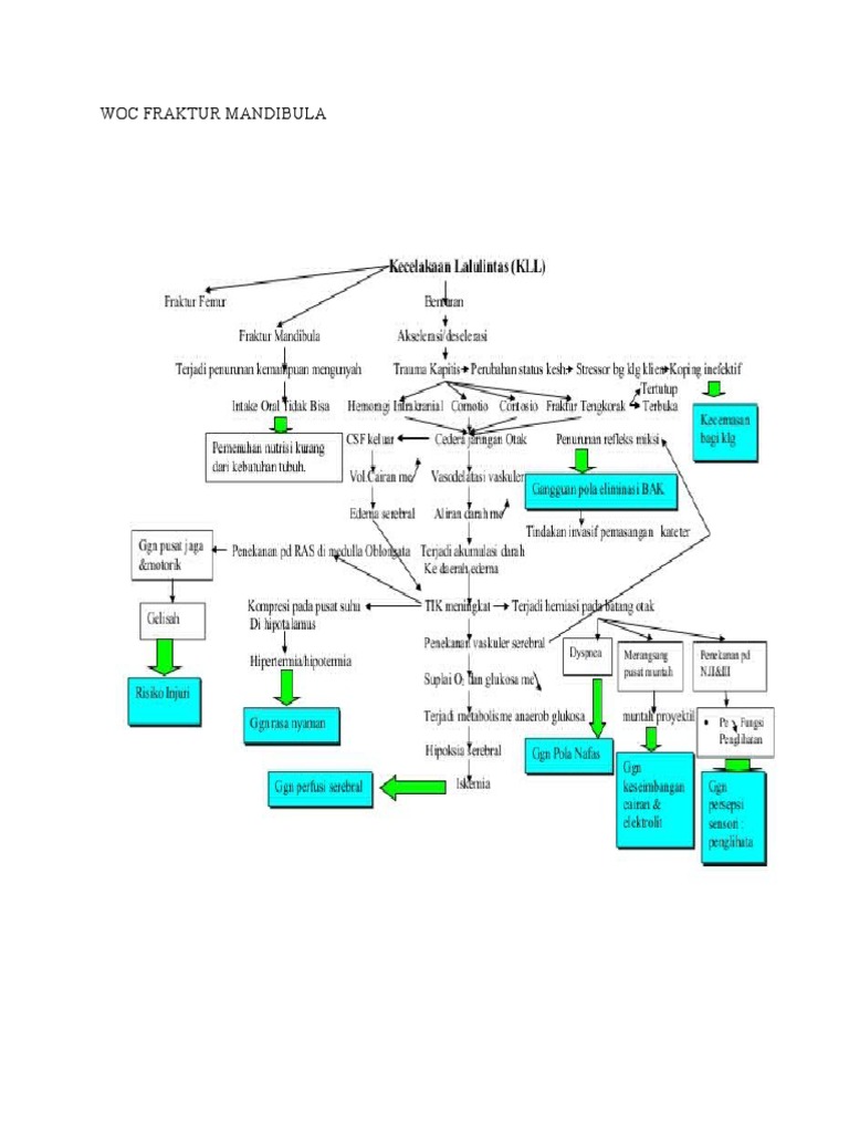 Woc Fraktur Mandibula | PDF