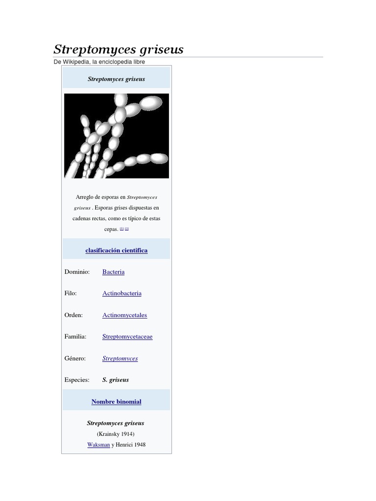 Streptomyces Griseus | PDF | Las bacterias | Plásmido