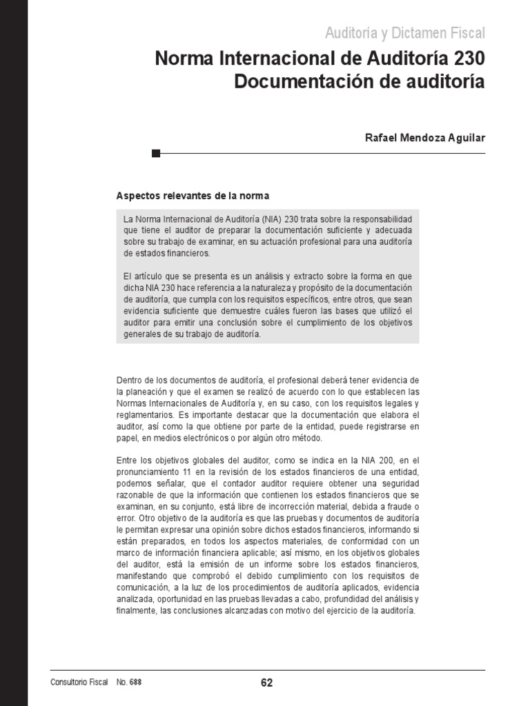 Nia 230 PDF | PDF | Auditoría financiera | Auditoría