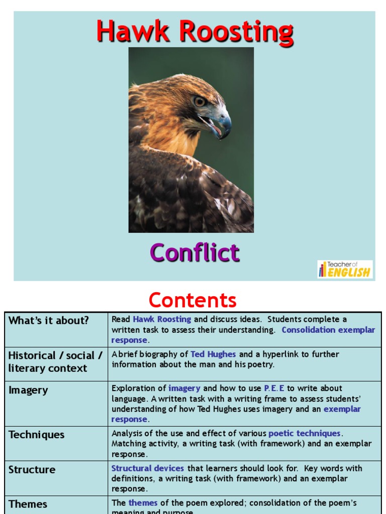 Hawk Roosting Ted Hughes | PDF | Poetry | Anthropomorphism