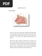 Bedah Hipertrofi Konka Inferior | PDF