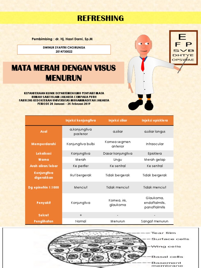 Mata Merah Visus Menurun | PDF