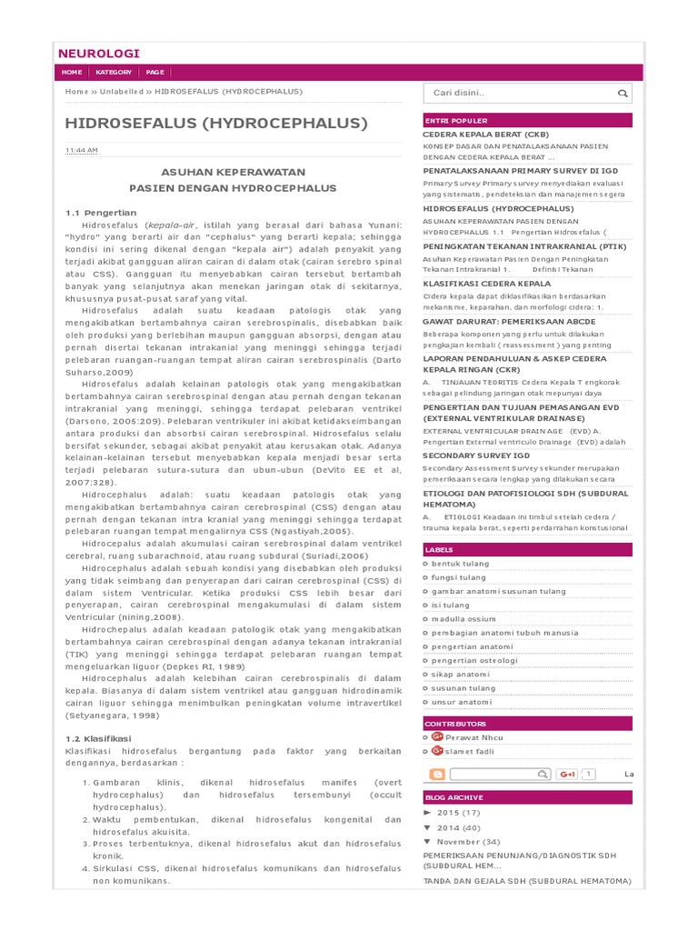 Hidrosefalus-Hydrocephalus HTML | PDF