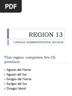Region 13 Caragaaaaaaa | PDF | Food And Drink Preparation | Cooking
