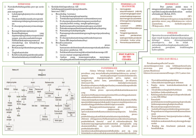 Woc Post Partum SECTIO | PDF