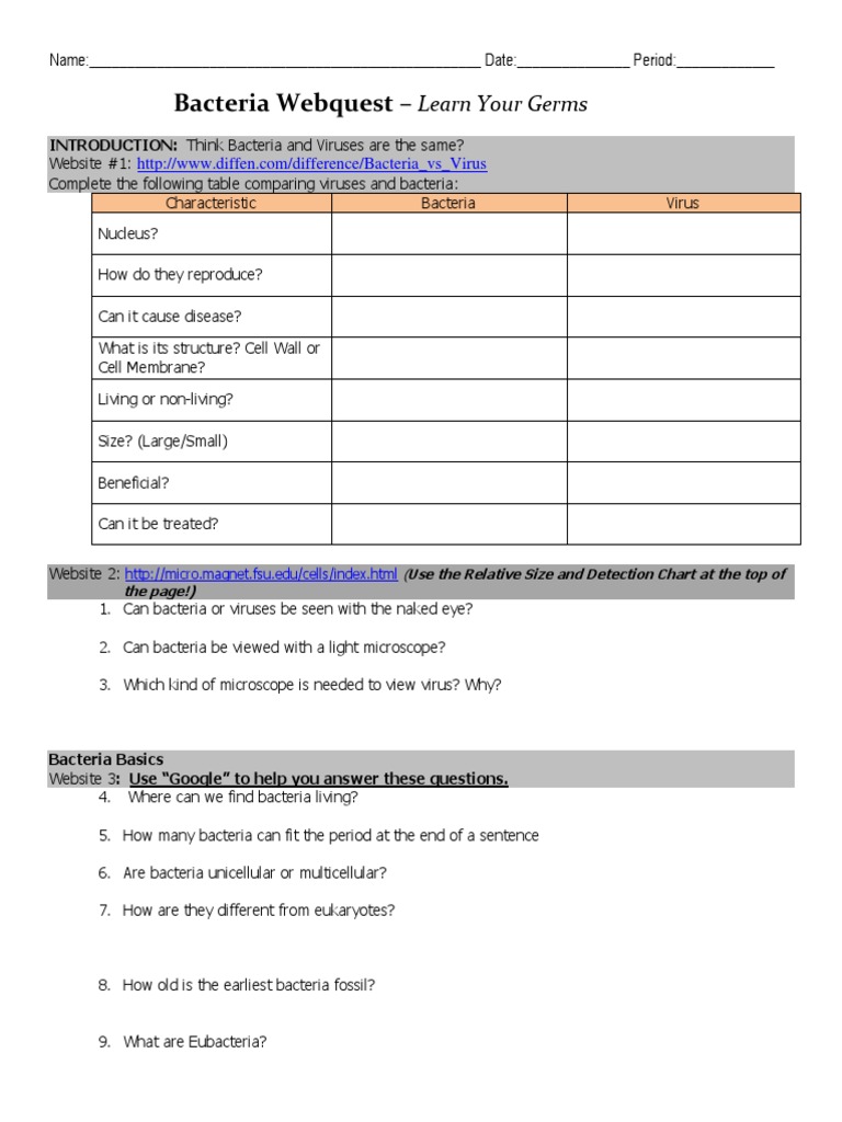 Bacteria and Virus Web Quest by Robert Rodriguez | PDF | Bacteria | Archaea