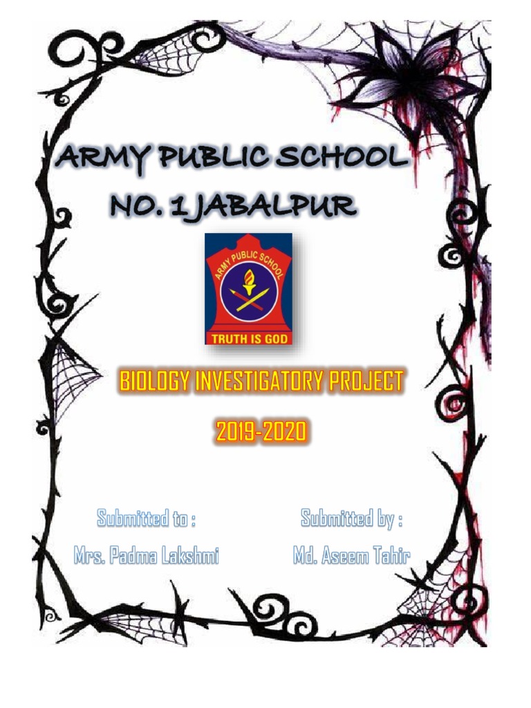 Bio Investigatory Project | PDF | Leaf | Root