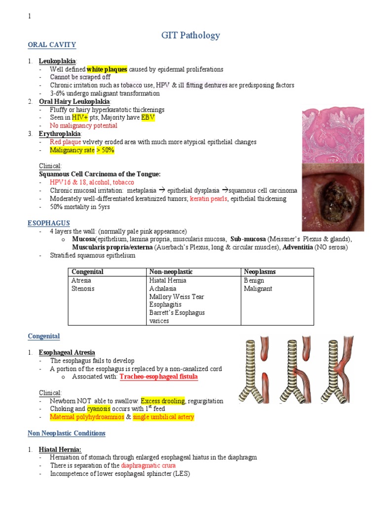 Gastrointestinal Pathology | PDF | Esophagus | Gastroenterology