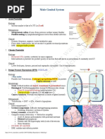 Randy Neil Biostats Notes | PDF