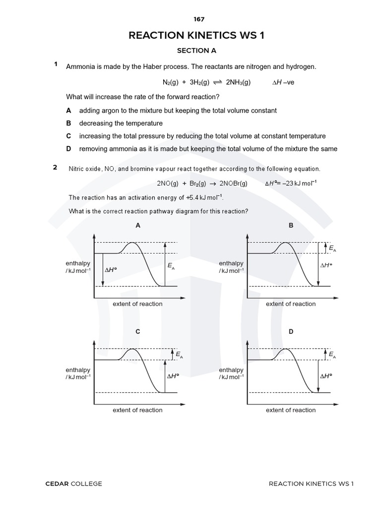 Reaction Kinetics WS | PDF | Chloride | Chemical Reactions