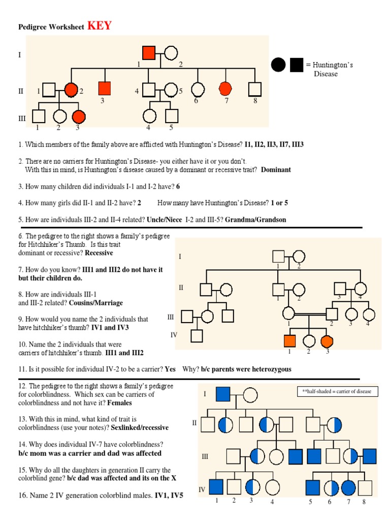 Pedigree Worksheet Answer Key | PDF | Dominance (Genetics) | Genetic ...