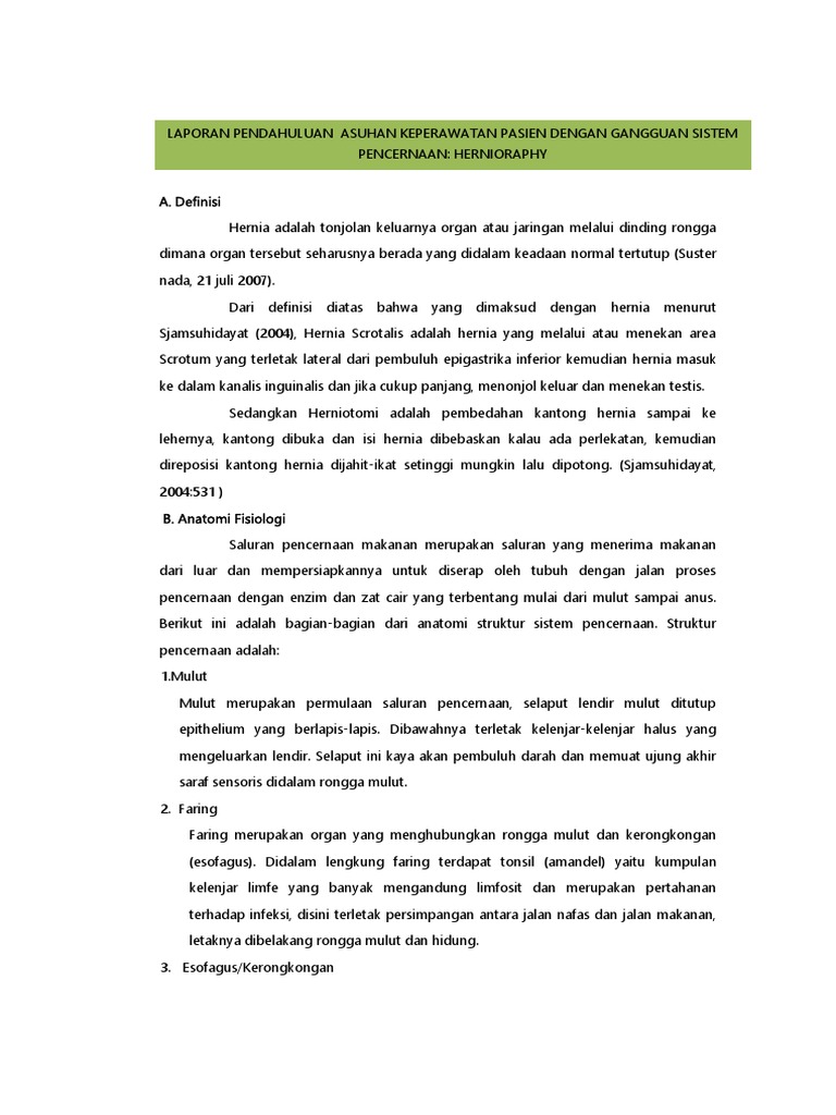 LP Hernioraphy | PDF