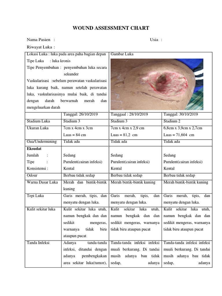 Wound Assessment Chart | PDF