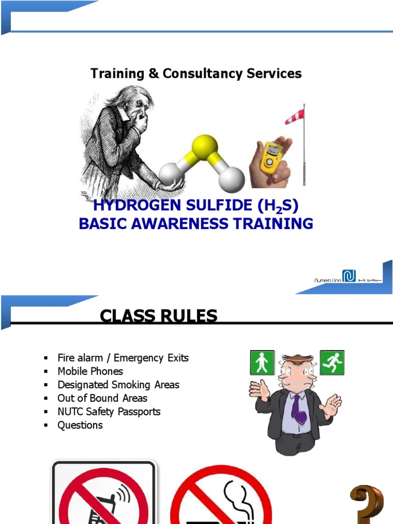 h2s Basic | PDF | Sulfide | Breathing