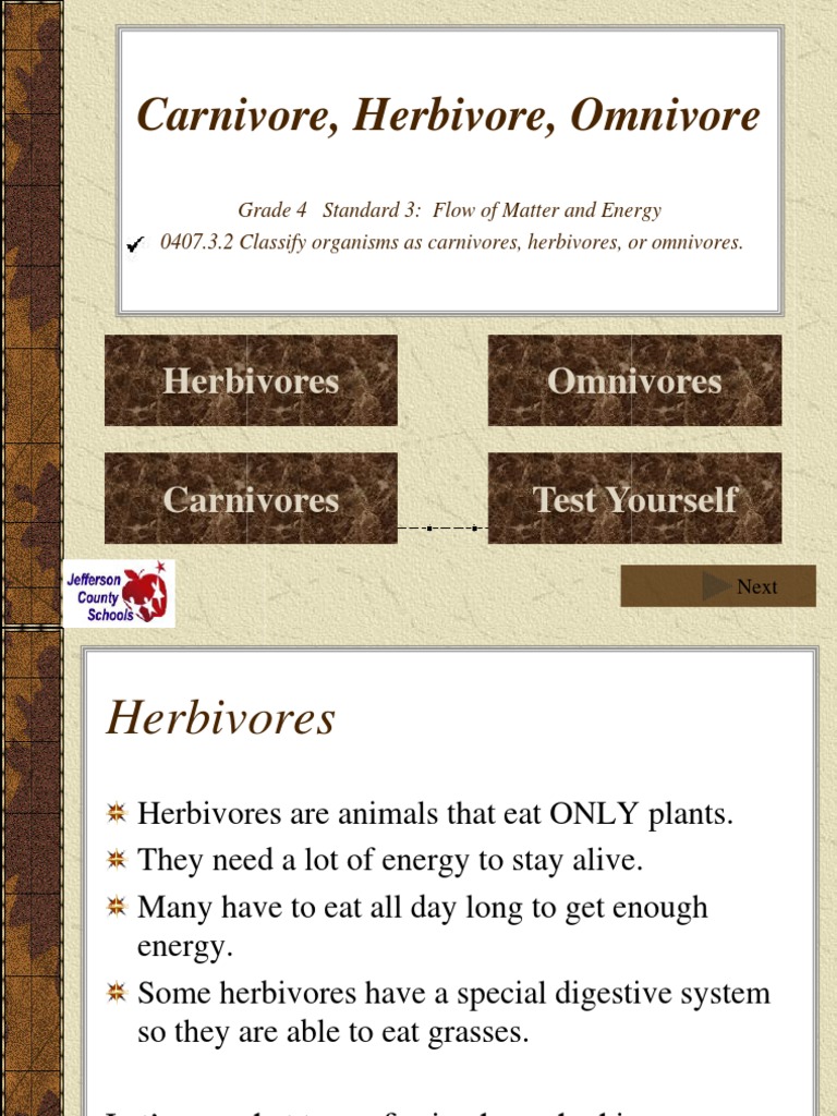Understanding Animal Diets: Types Explained | PDF | Herbivore | Organisms