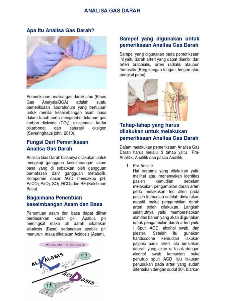 Apa Itu Analisa Gas Darah | PDF