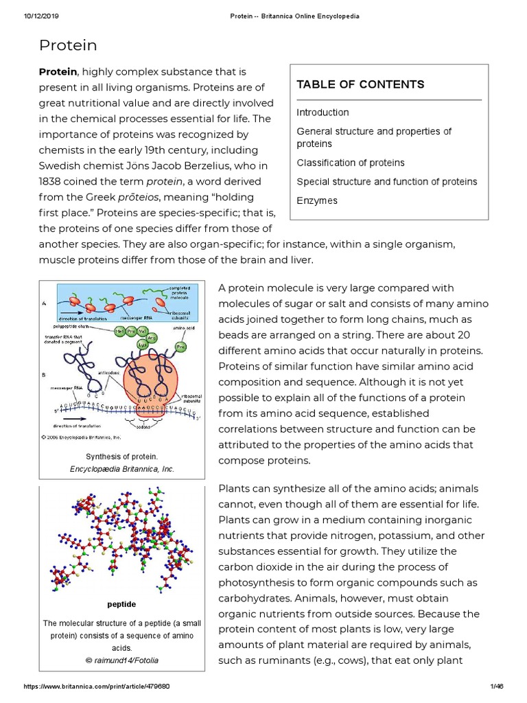 Protein - Britannica Online Encyclopedia PDF | PDF | Cysteine | Proteins