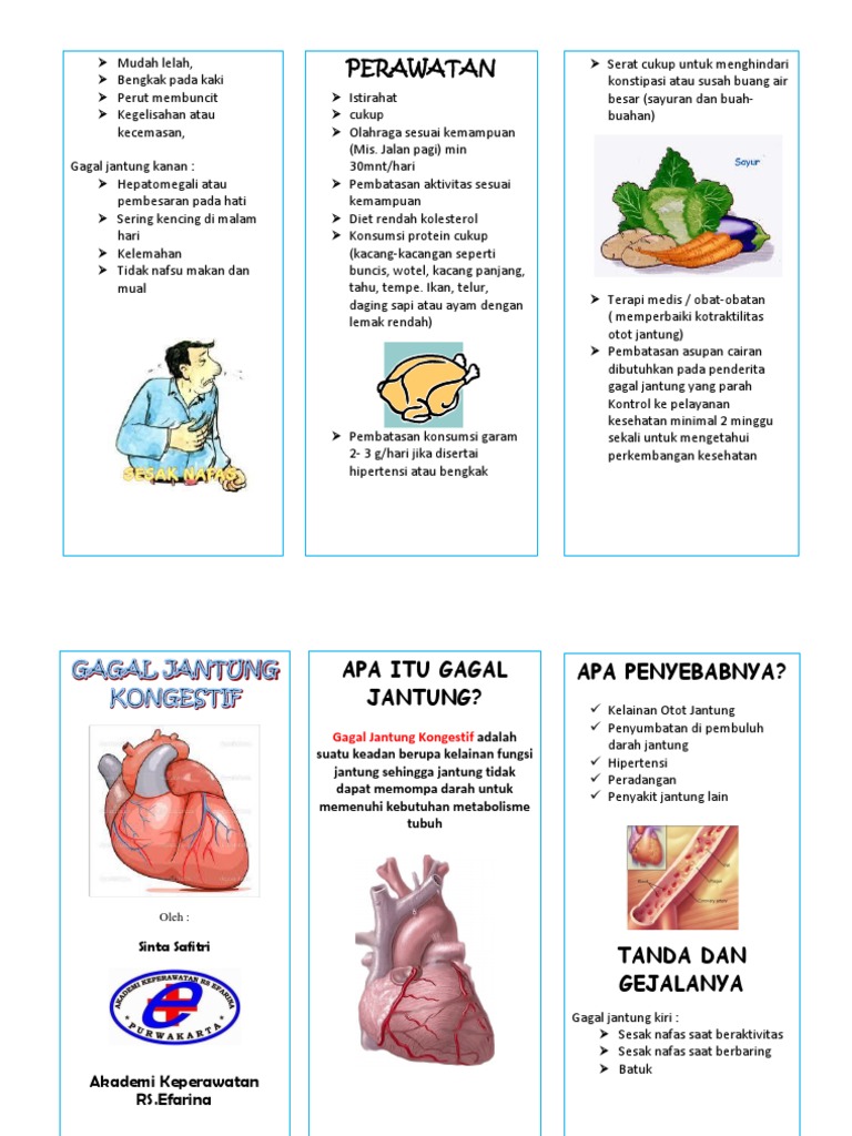 Leaflet CHF | PDF