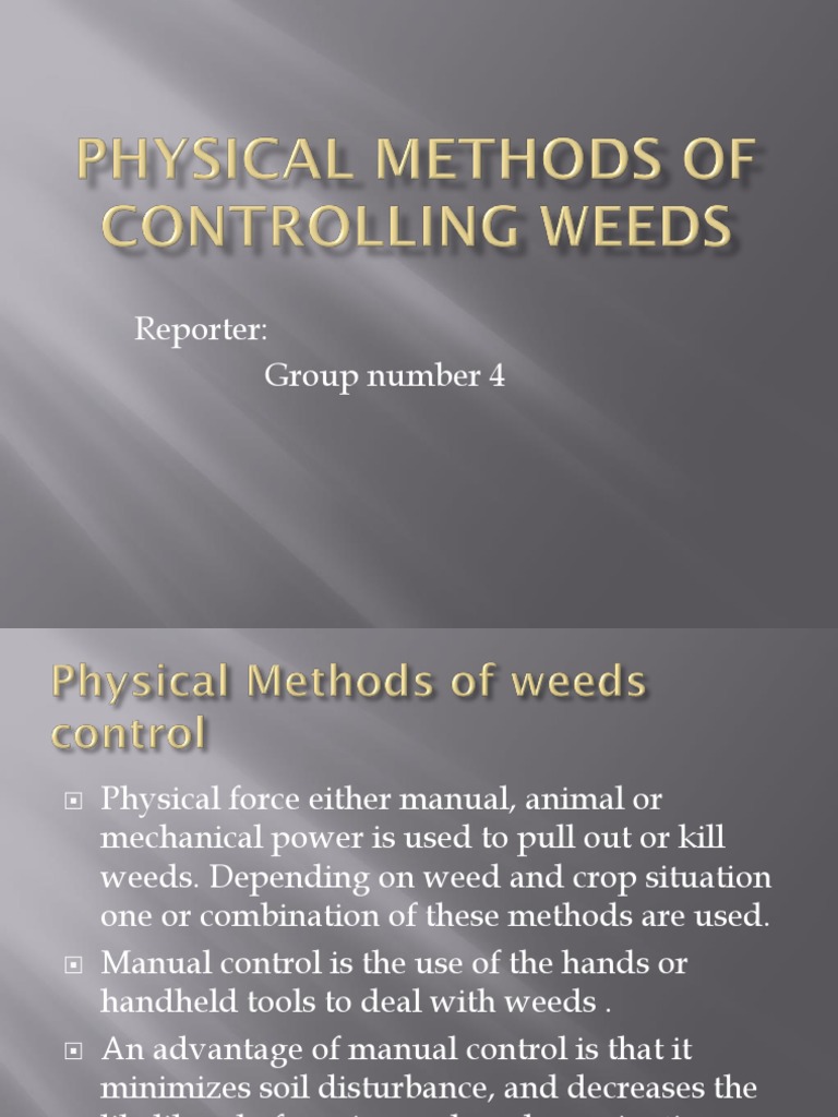 Weeds Report | PDF | Weed | Mulch