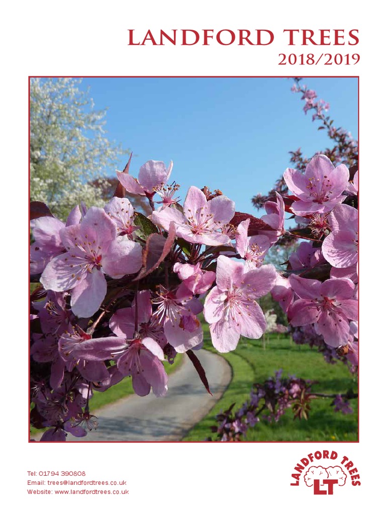 Landford Trees 2018/2019 Catalogue | PDF | Beech | Pear