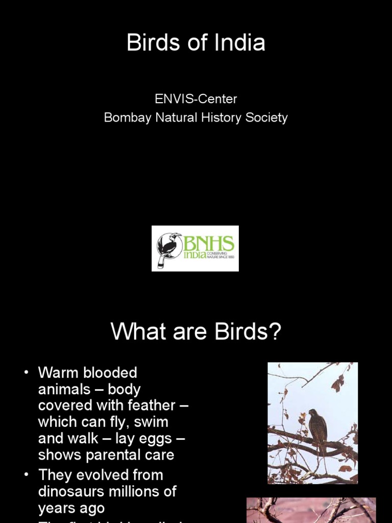 Birds of India: ENVIS-Center Bombay Natural History Society | PDF