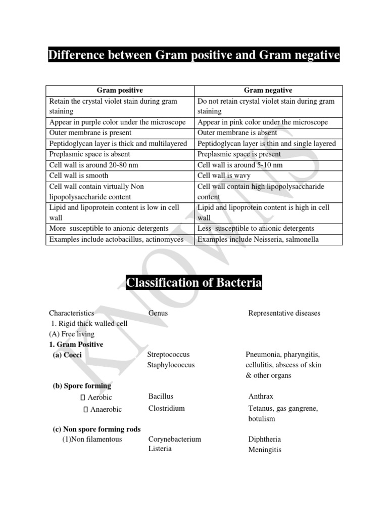 Classification of Bacteria | PDF | Gram Negative Bacteria | Gram ...