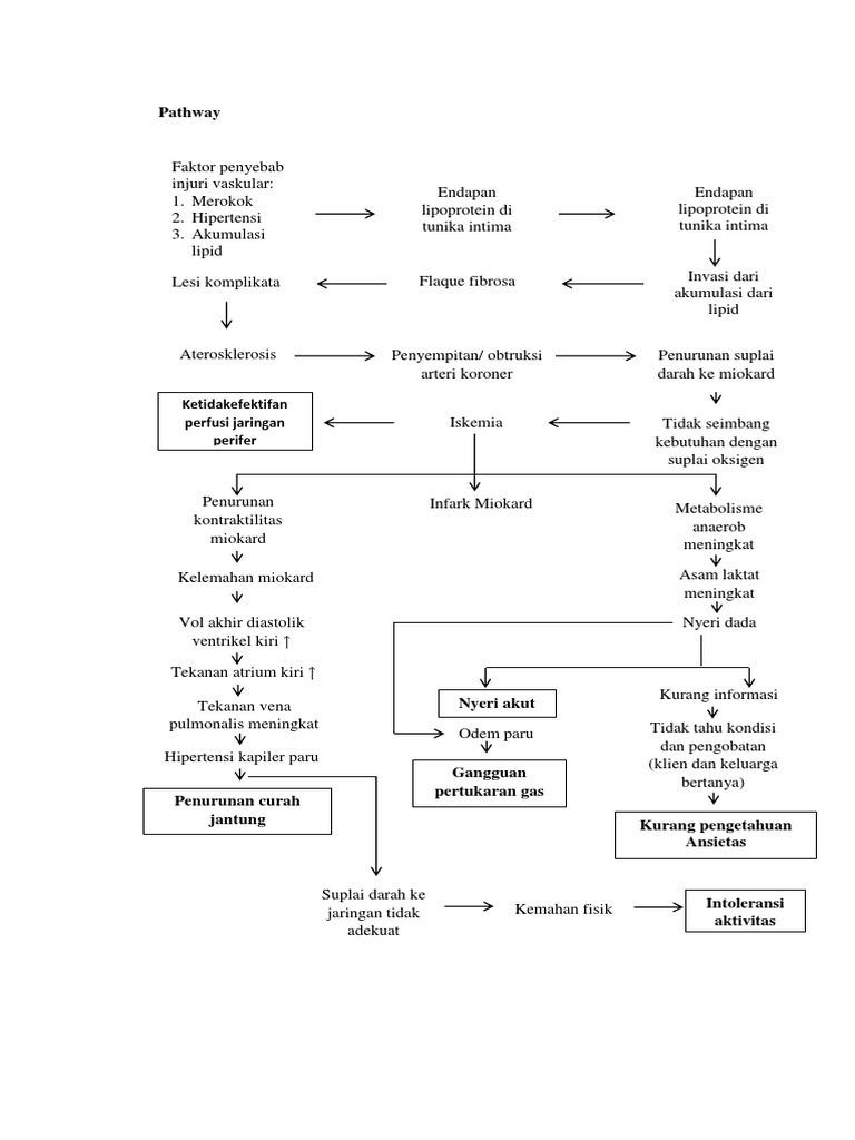 Pathway Stemi | PDF