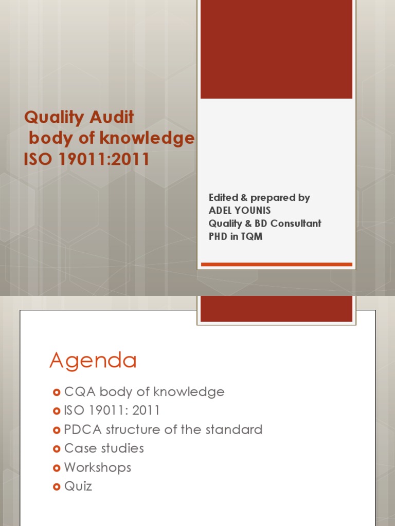 Audit Body of Knowledge | PDF | Auditor's Report | Financial Audit
