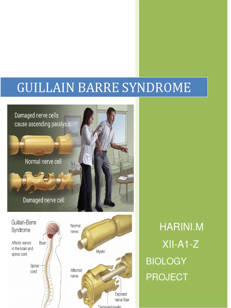 Understanding Guillain-Barré Syndrome: Causes, Symptoms, Diagnosis and ...
