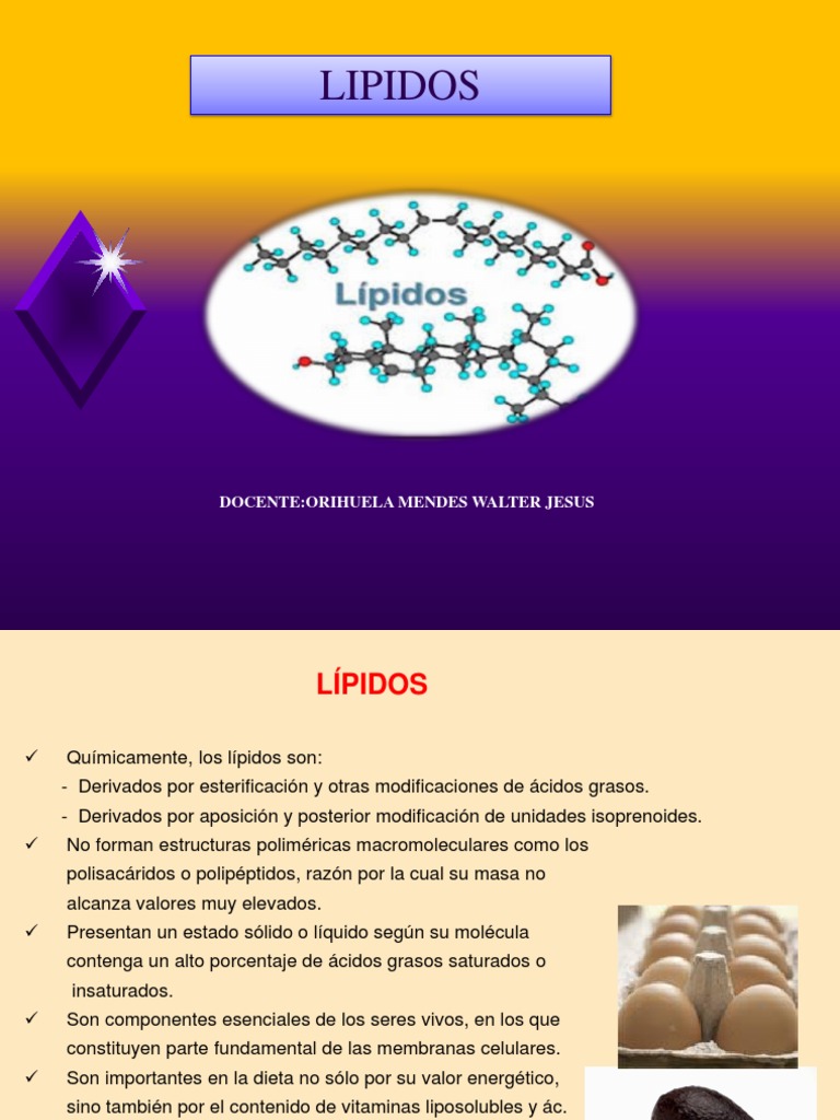 Lipidos Diapositivas 2 | PDF | Lípido | Ácido graso