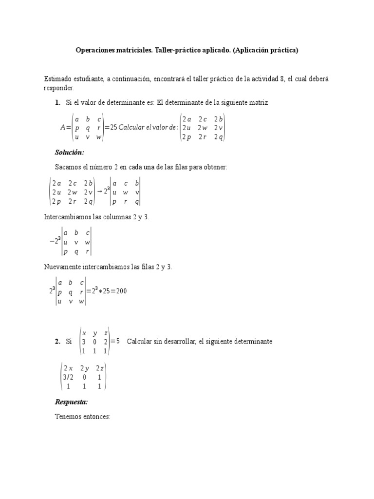 Operaciones Matriciales | PDF | Determinante | Matriz (Matemáticas)