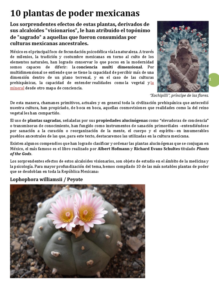 10 Plantas de Poder Mexicanas | PDF | Plantas | Cultura (general)