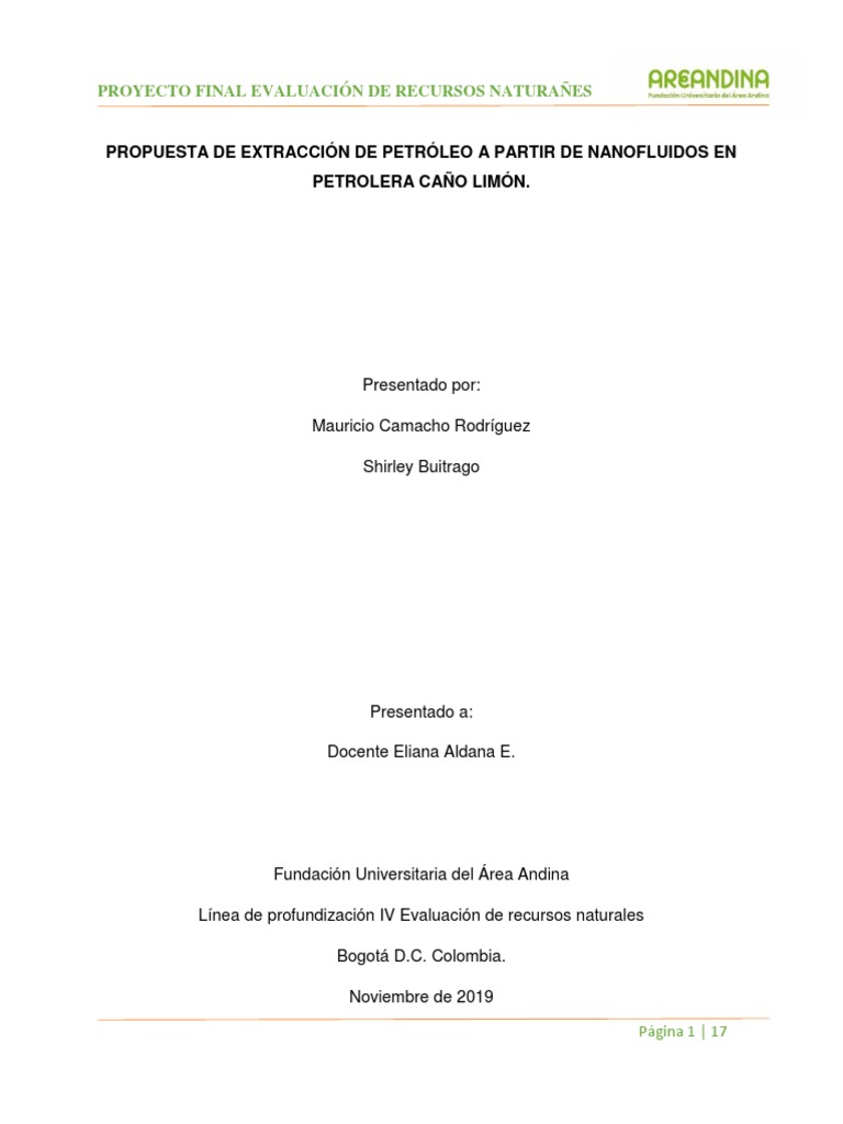 Esquema Proyecto Final Ern Areandina | PDF | Petróleo | Nanopartículas