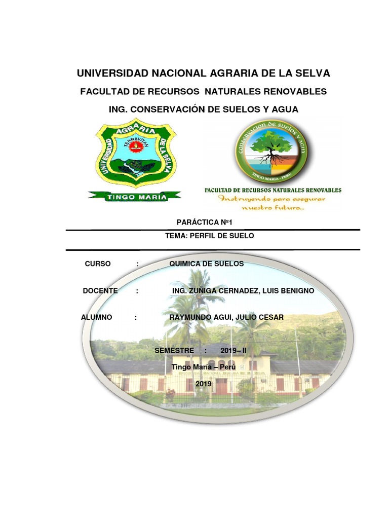 Calicata: Perfil y Propiedades del Suelo | PDF | Suelo | Materiales ...