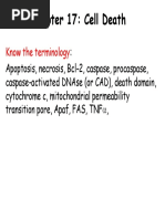 Elite 100 NBME Concepts Outline | PDF | Metastasis | Apoptosis