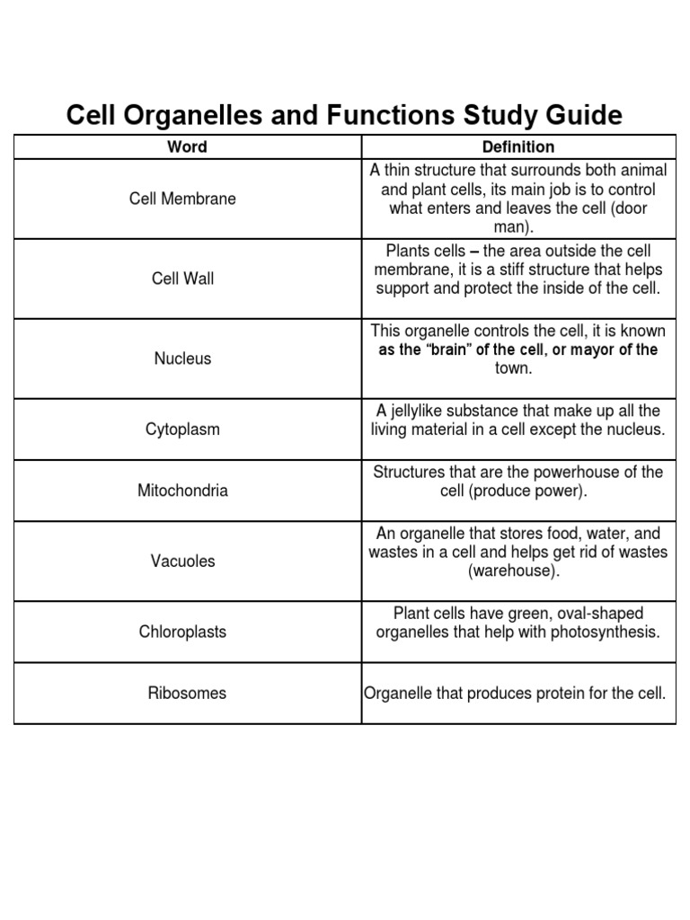 Plant Cell Functions Definitions
