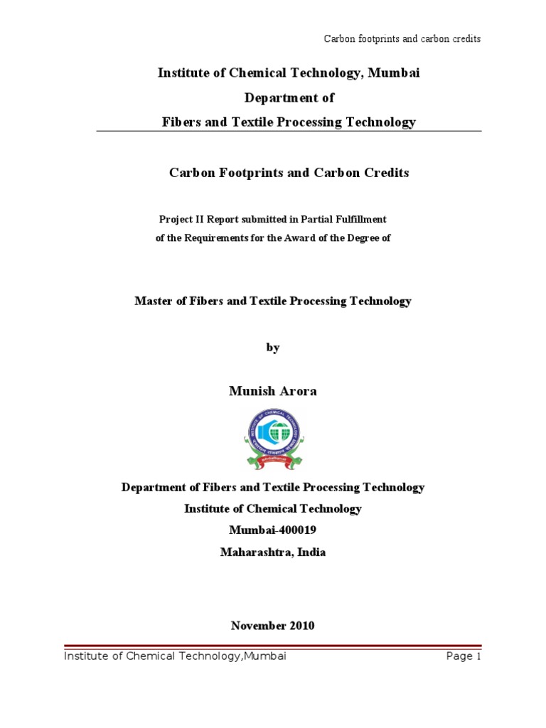 Report On Carbon Footprints | PDF | Carbon Footprint | Greenhouse Gas