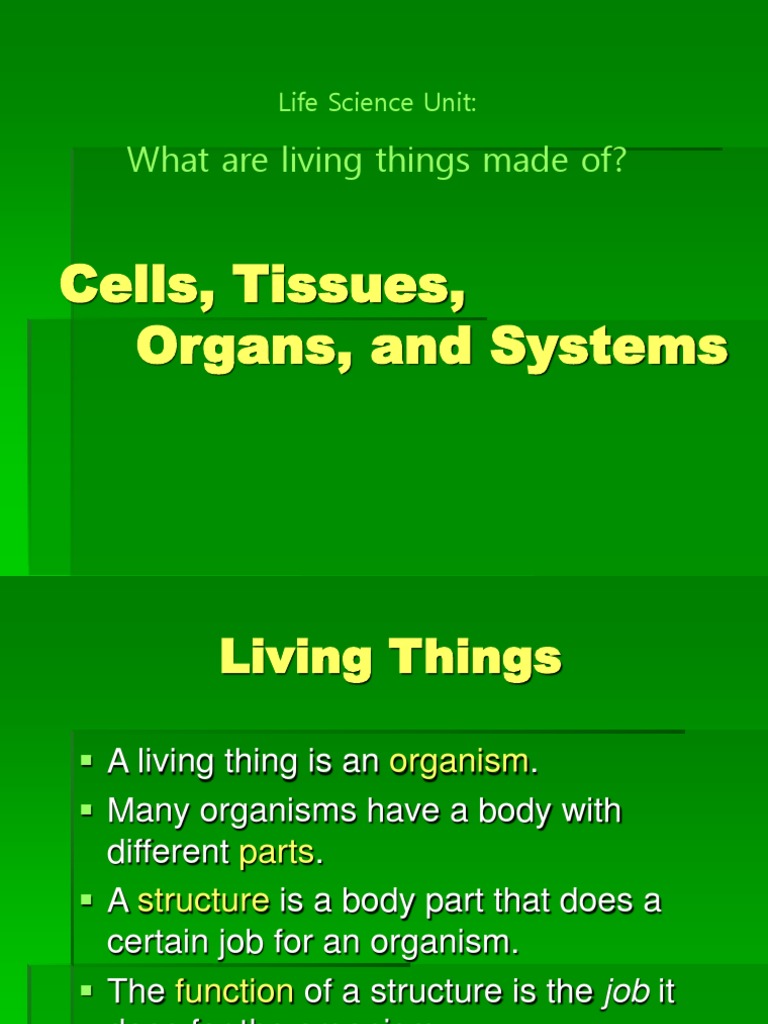 Cells Tissues Organs and Systems Power Point | PDF | Organ (Anatomy ...