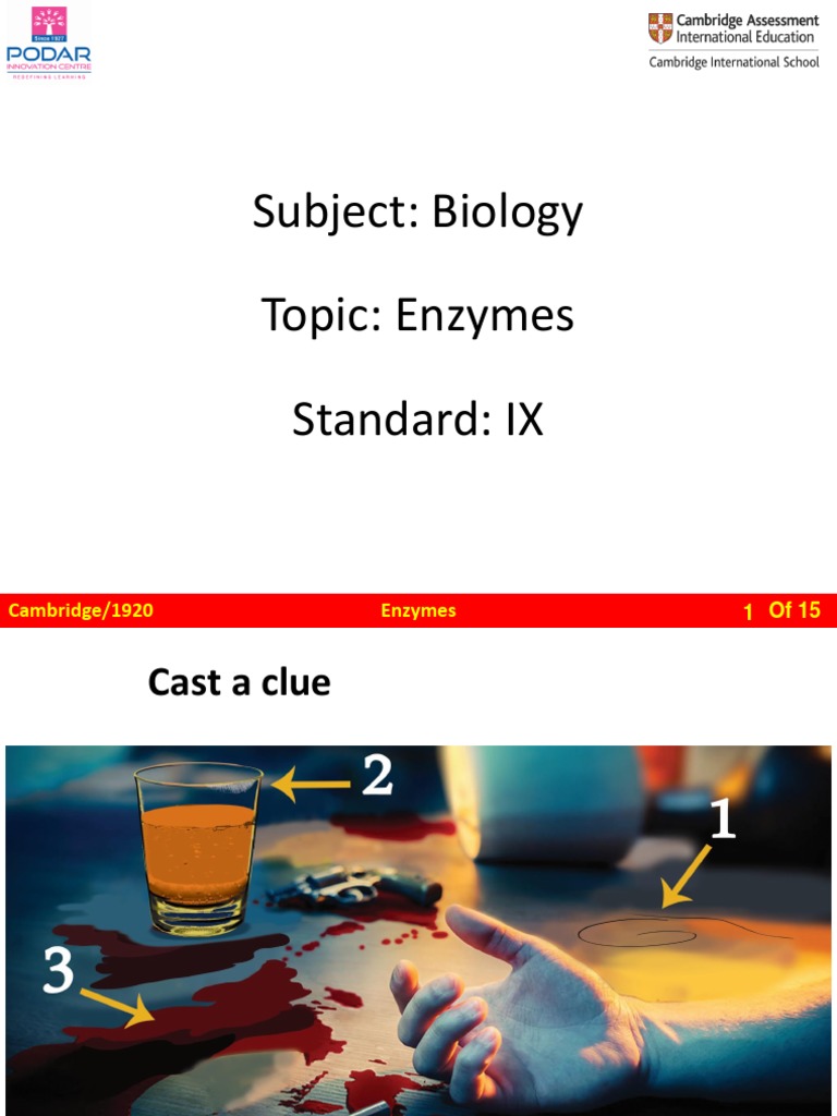CAIE IX Bio Unit 5 Enzymes PPT 1 | Download Free PDF | Substrate ...