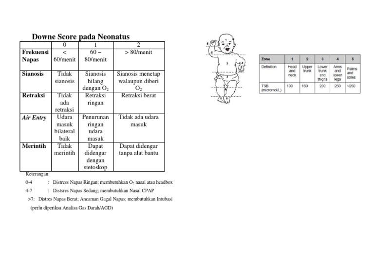 Downe Score: Penilaian Distres Napas Neonatus | PDF