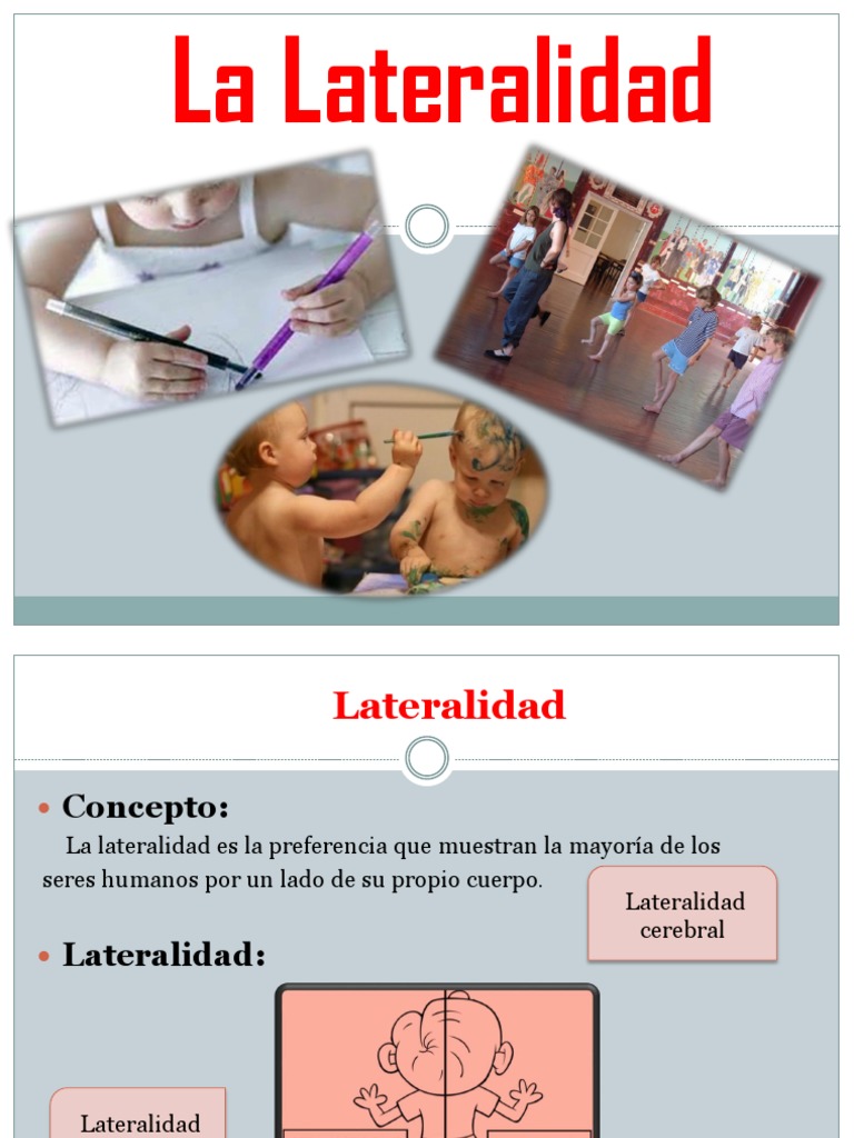 PRESENTACIÓN. Bases Lateralidad | PDF | Handedness | Cerebro