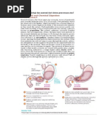 FAC - Functional Ambulation Categories | PDF