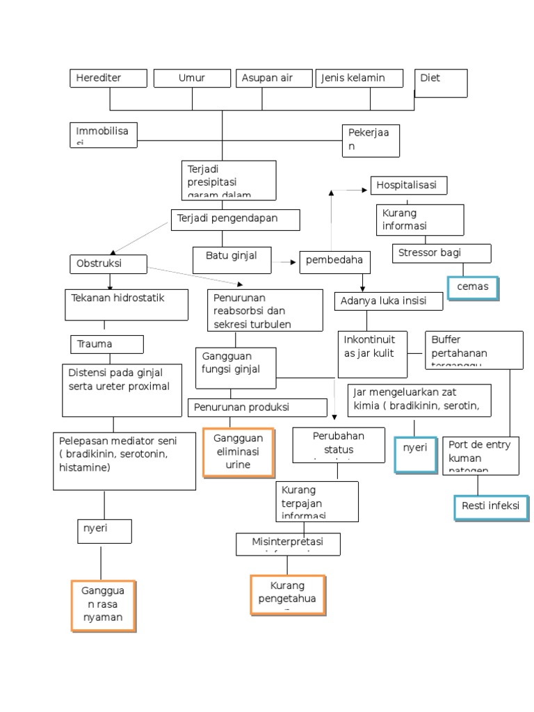 Pathway Batu Ginjal | PDF