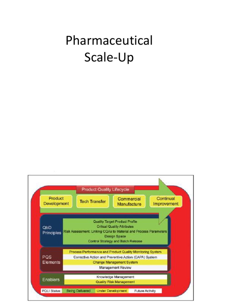 Pharmaceutical Scale-Up | PDF